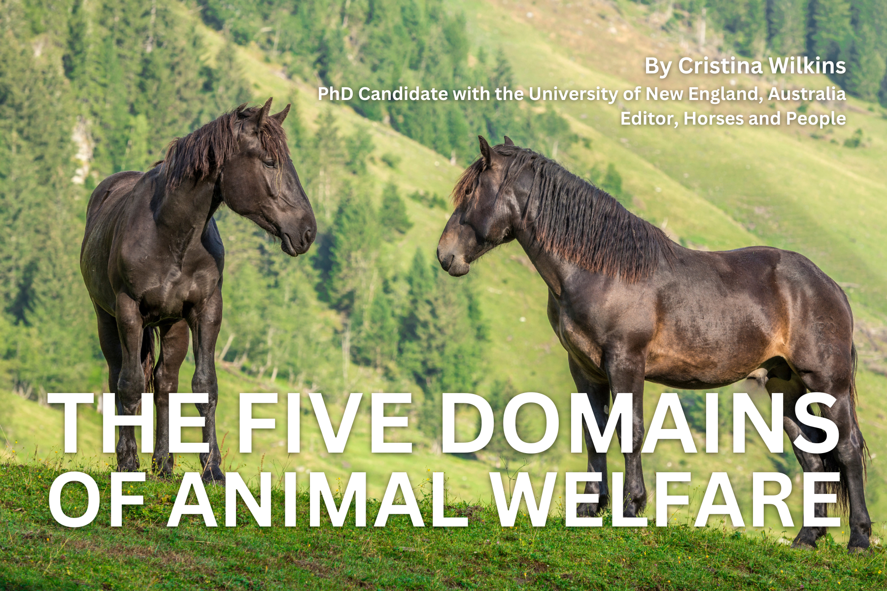 THE FIVE DOMAINS OF ANIMAL WELFARE - Concordia